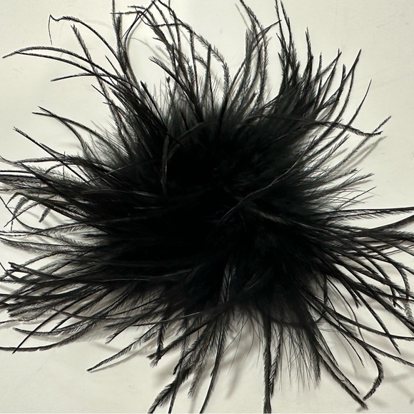 Accessories | Feather Shoe Clips Ostrich Feather Shoe Clips All Color ...